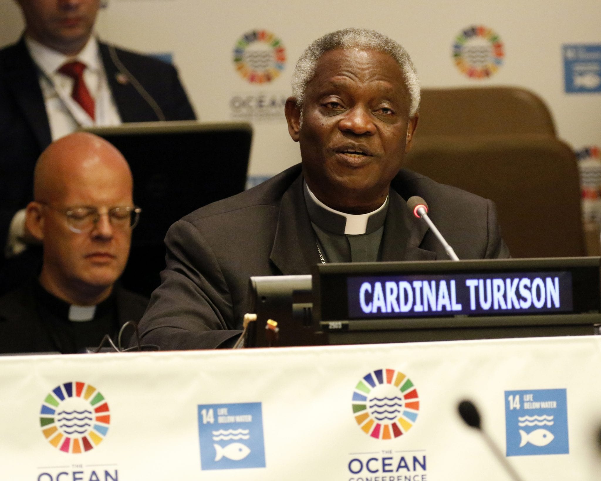 Turkson: Pro-life cause and concern for environment are ‘inseparable ...