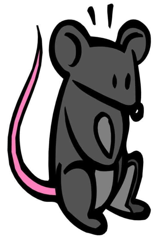 Even church mice hoping day comes soon for faithful to return for Mass ...