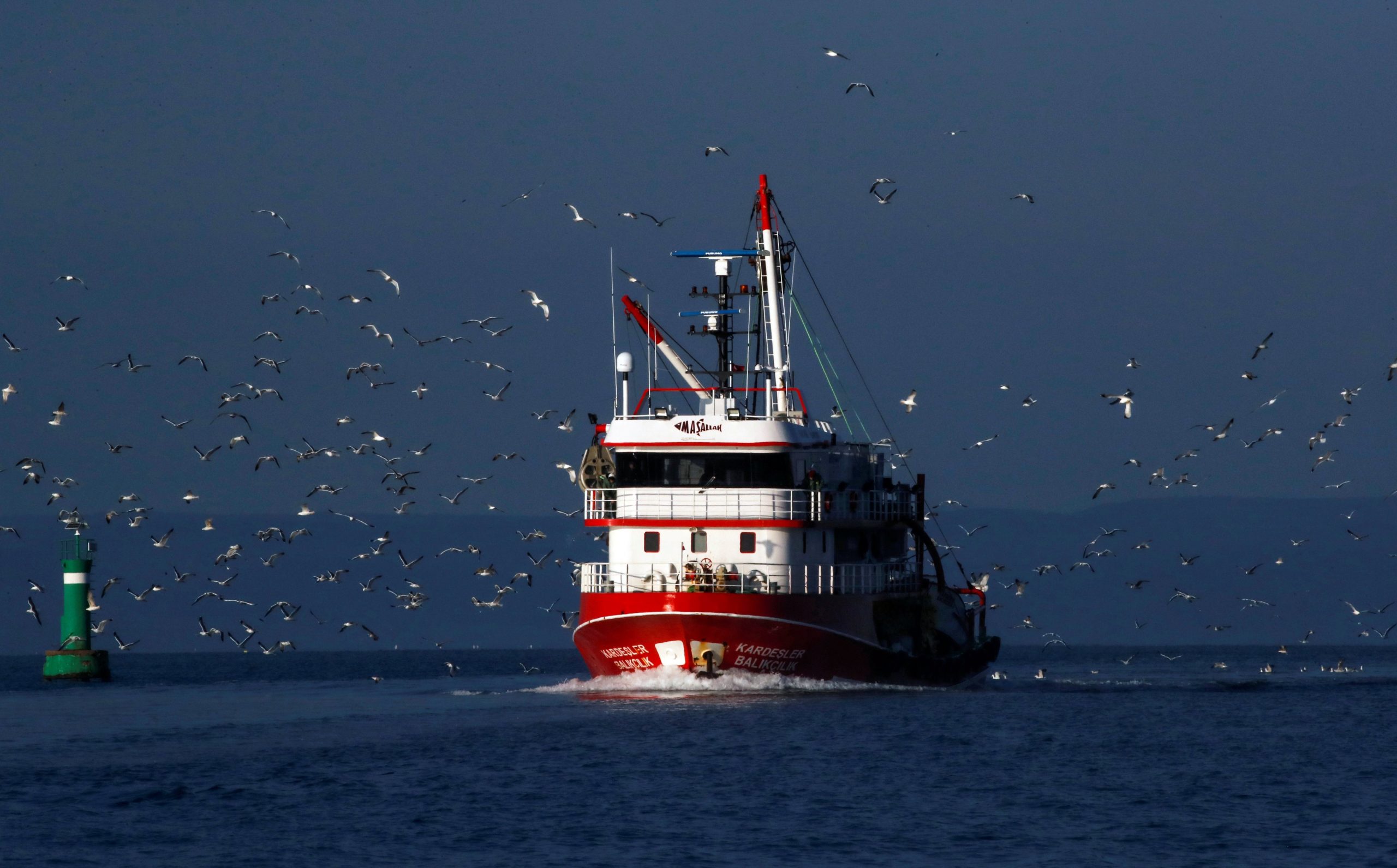 Rights, conditions in fishing industry must improve, Vatican official ...