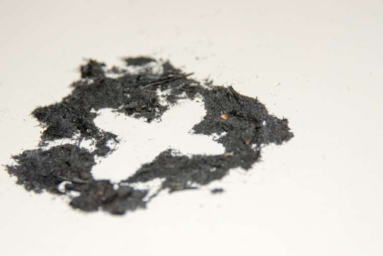 Where do Ash Wednesday ashes come from? | Crux