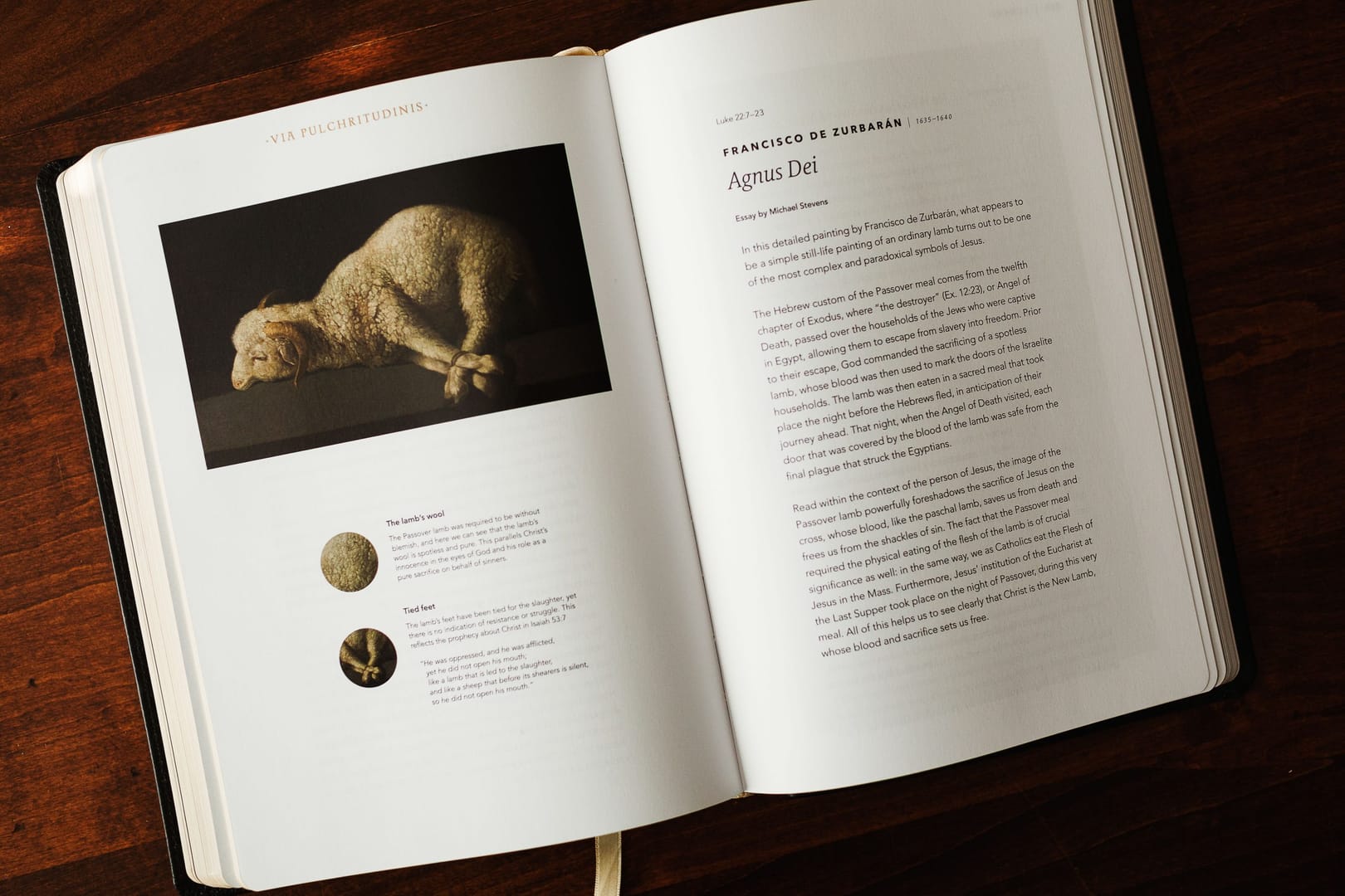 Word on Fire Bible ‘utterly unique,’ ‘breathtakingly beautiful’ | Crux