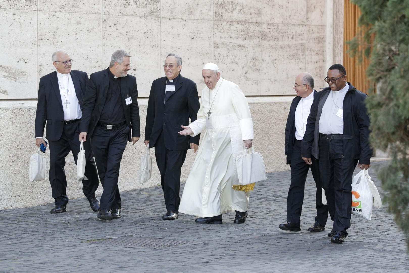 Strong showing of religious at Amazon synod part of a Francis pattern ...