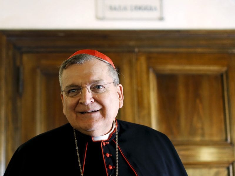 British author challenges dubia cardinals, calls abuse of Pope ‘satanic ...
