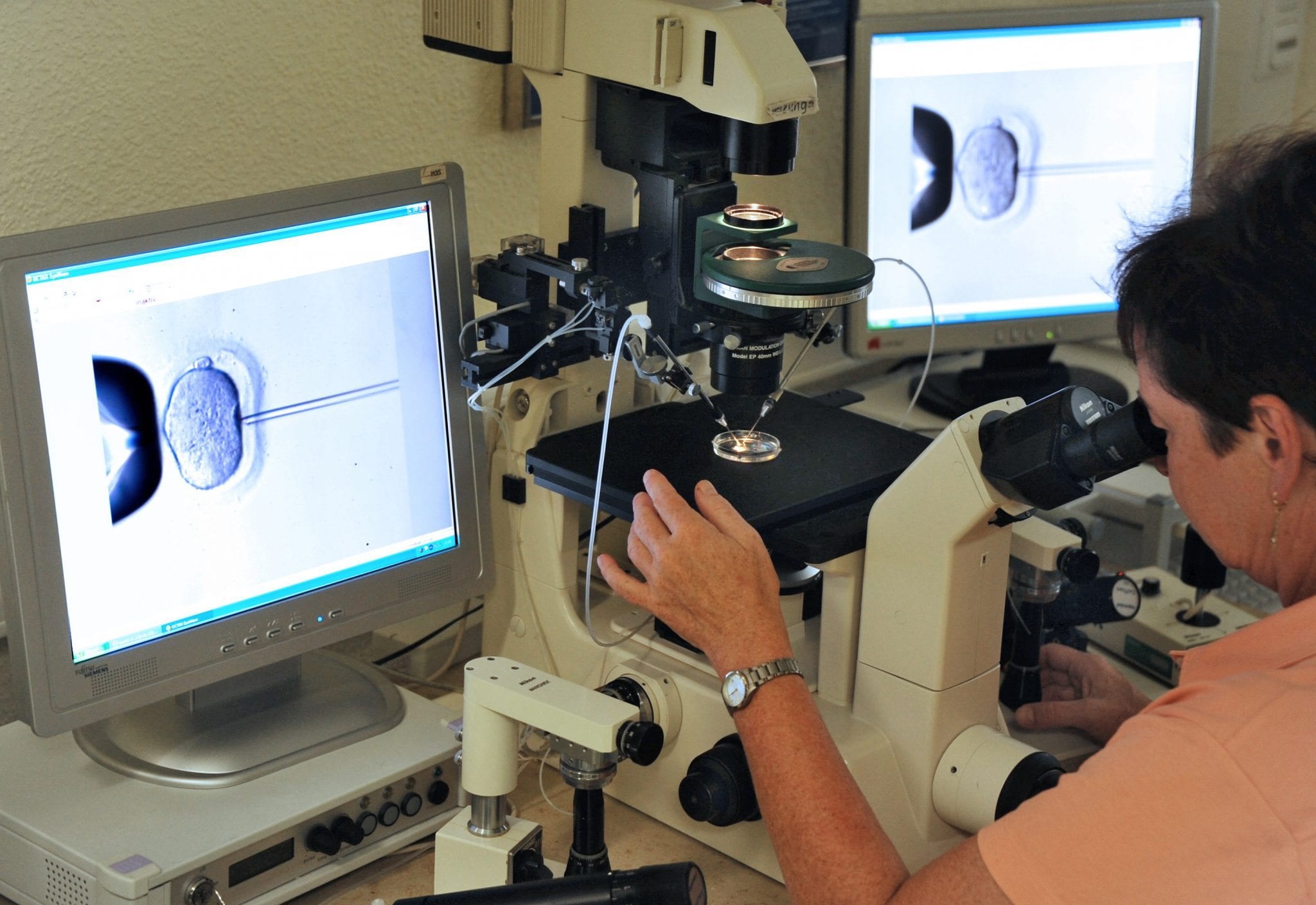 The Perils of Sperm Donation 2.0 | Crux