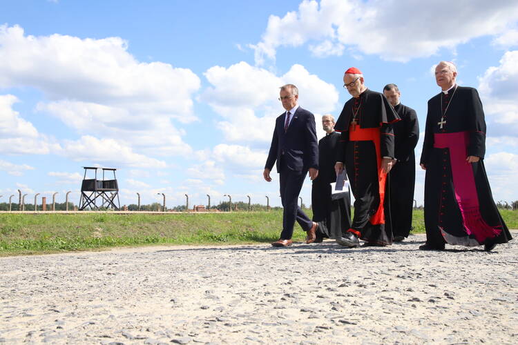 Crux | Taking the Catholic Pulse