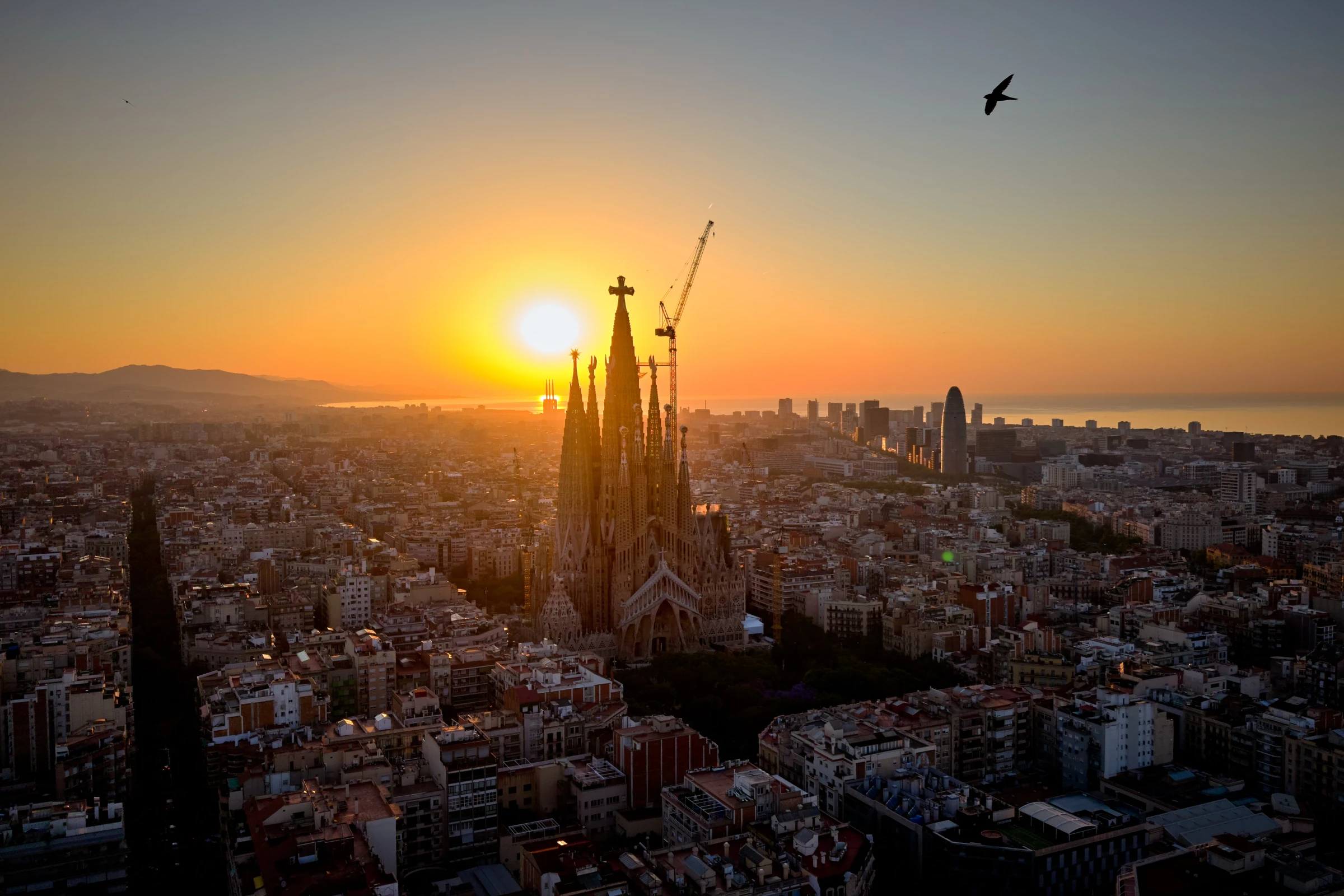 Cardinal confirms Pope Leo will speak Catalan in Barcelona after ...